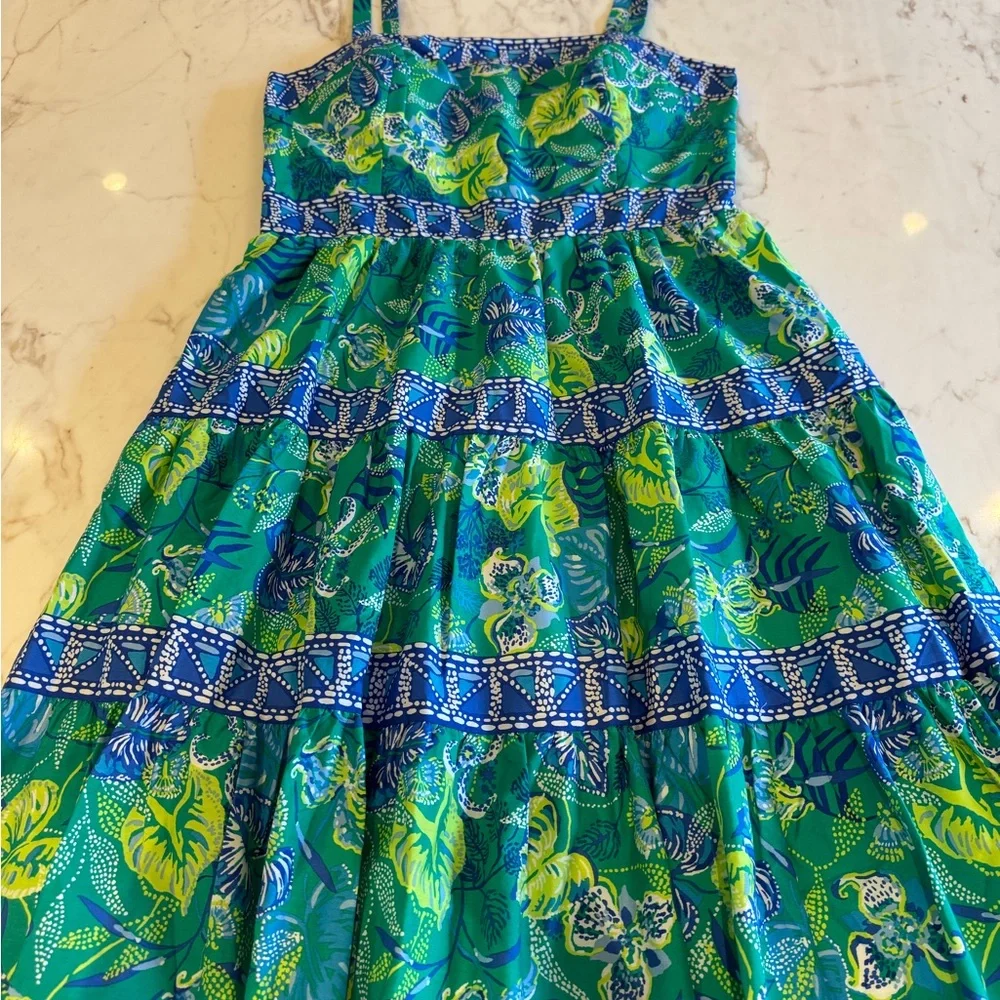 Lilly Pulitzer | Dresses | Nwt Lilly Pulitzer Botanical Green And Blue ...